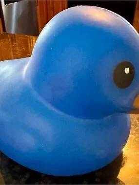 Sunny Days | Bird | Sunny Days Tik Tok Viral Blue Rubber Jumbo Duck ...